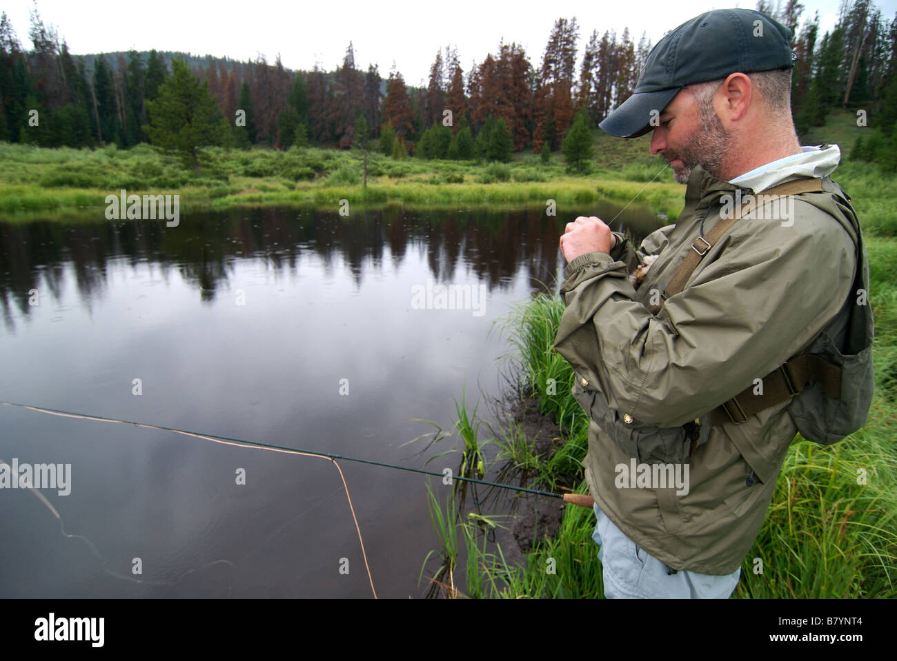 a fly fisherman ties on a fly to catch rising brook trout in a remote ...