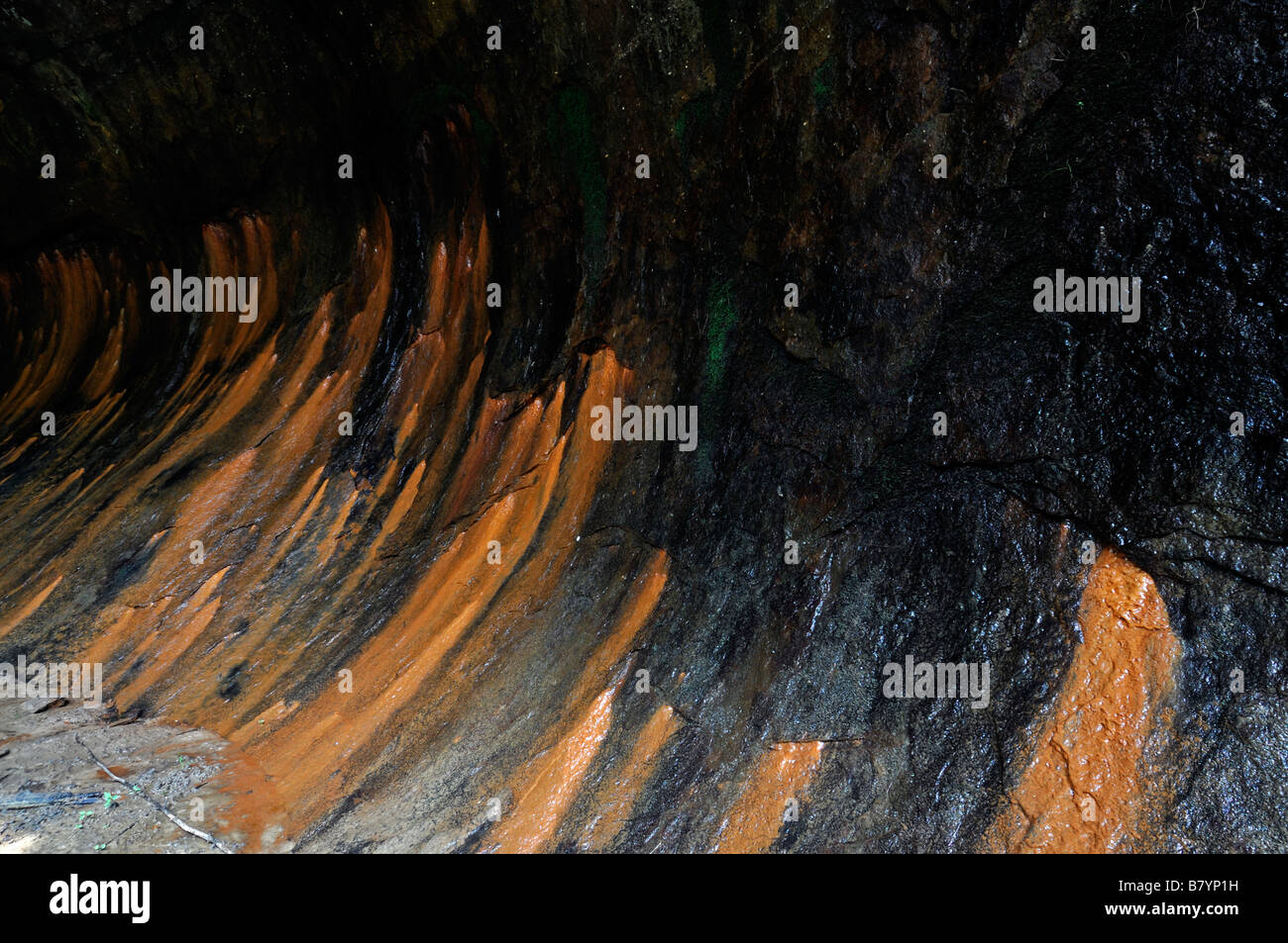 dry river bed bank carved channel curve Clifty Wilderness Red River ...