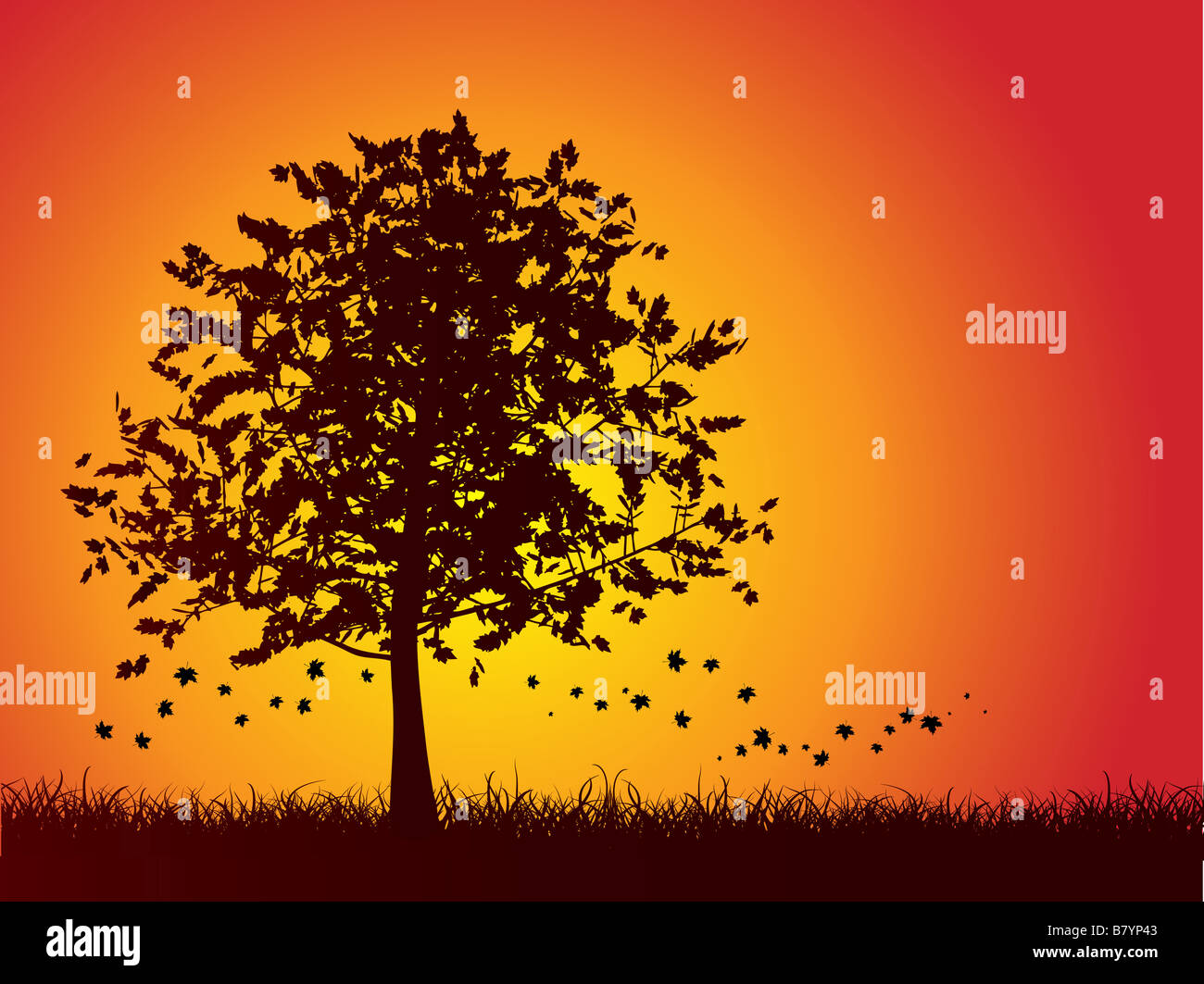 Fall silhouette hi-res stock photography and images - Alamy