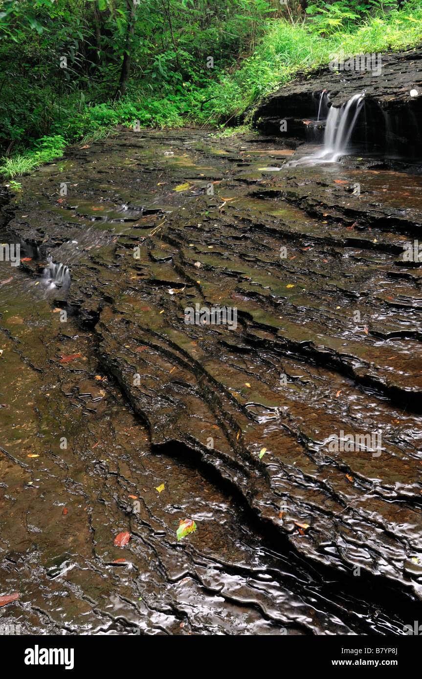 Indian creek rapids upstream of 76 falls clinton county kentucky lake ...