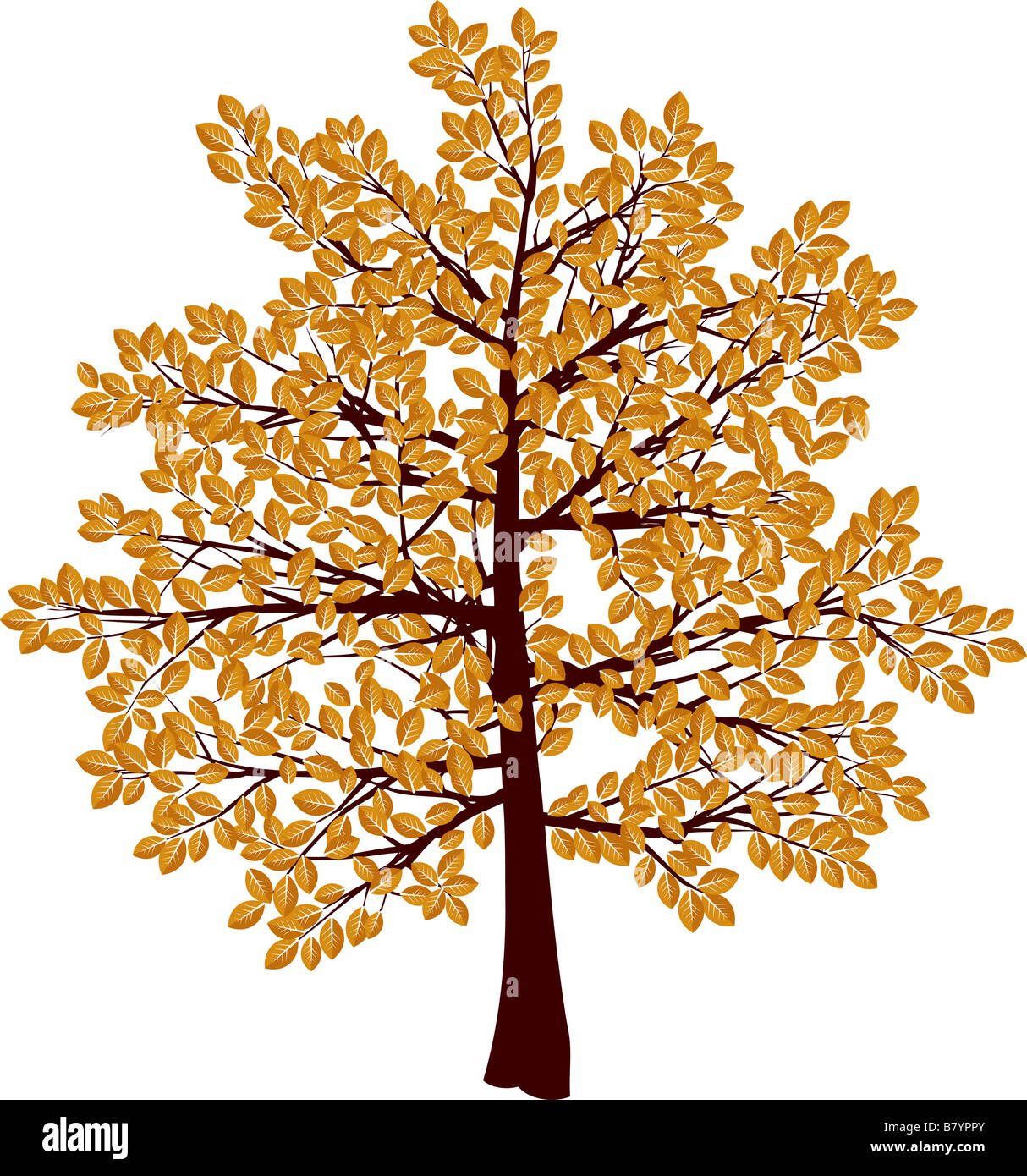 Illustration of a tree with autumn leaves Stock Photo - Alamy