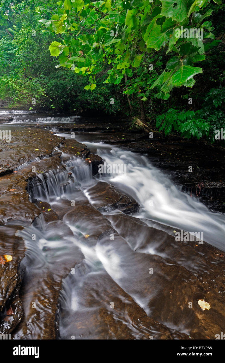 Indian creek rapids upstream of 76 falls clinton county kentucky lake ...