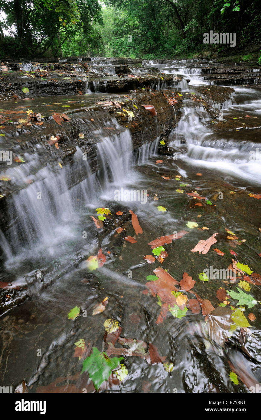 Indian creek rapids upstream of 76 falls clinton county kentucky lake ...