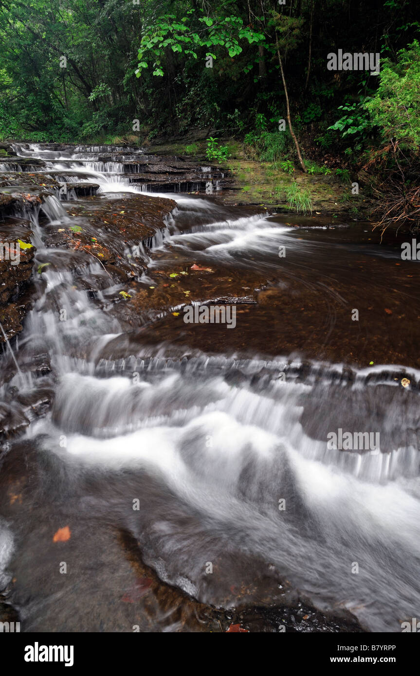 Indian creek rapids upstream of 76 falls clinton county kentucky lake ...