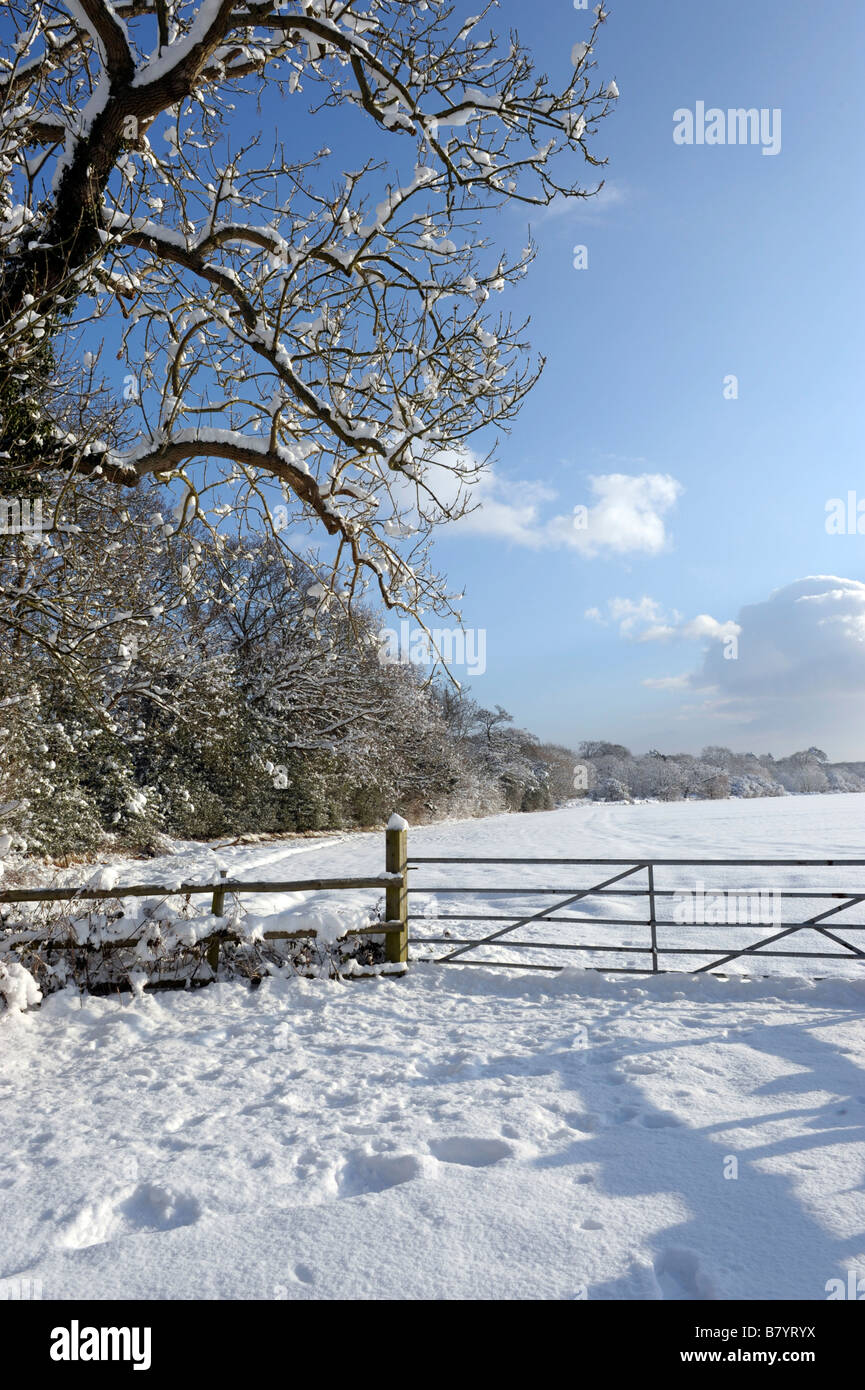 Covered field hi-res stock photography and images - Alamy