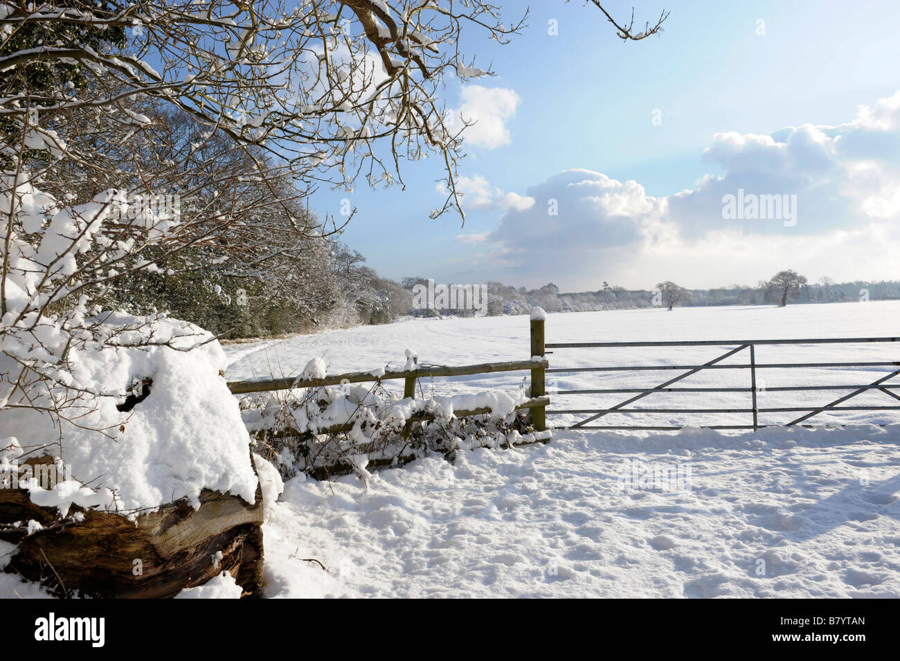 Snow-covered field and gate country landscape Stock Photo - Alamy