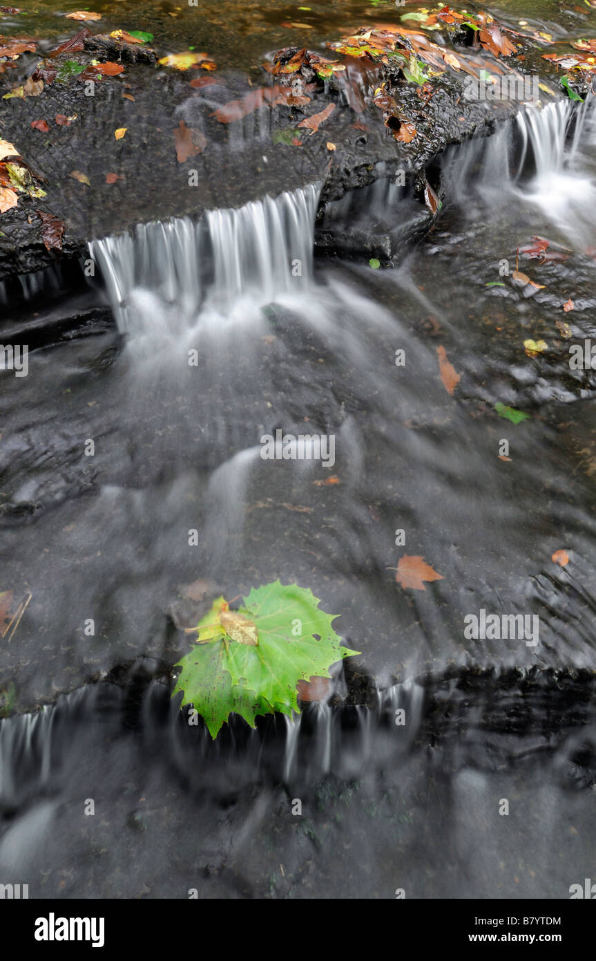 Indian creek rapids upstream of 76 falls clinton county kentucky lake ...
