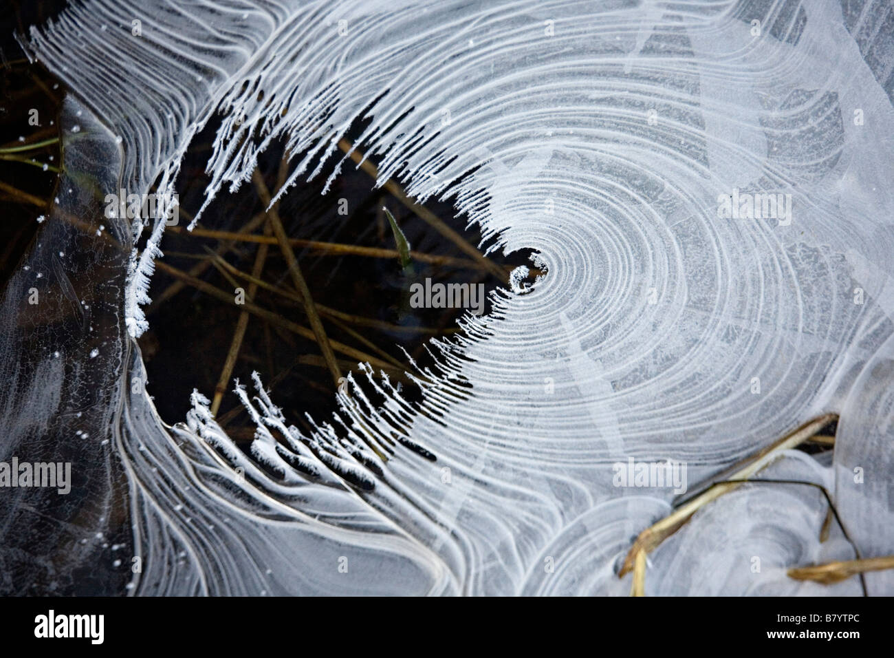 Ice formation below surface hi-res stock photography and images - Alamy