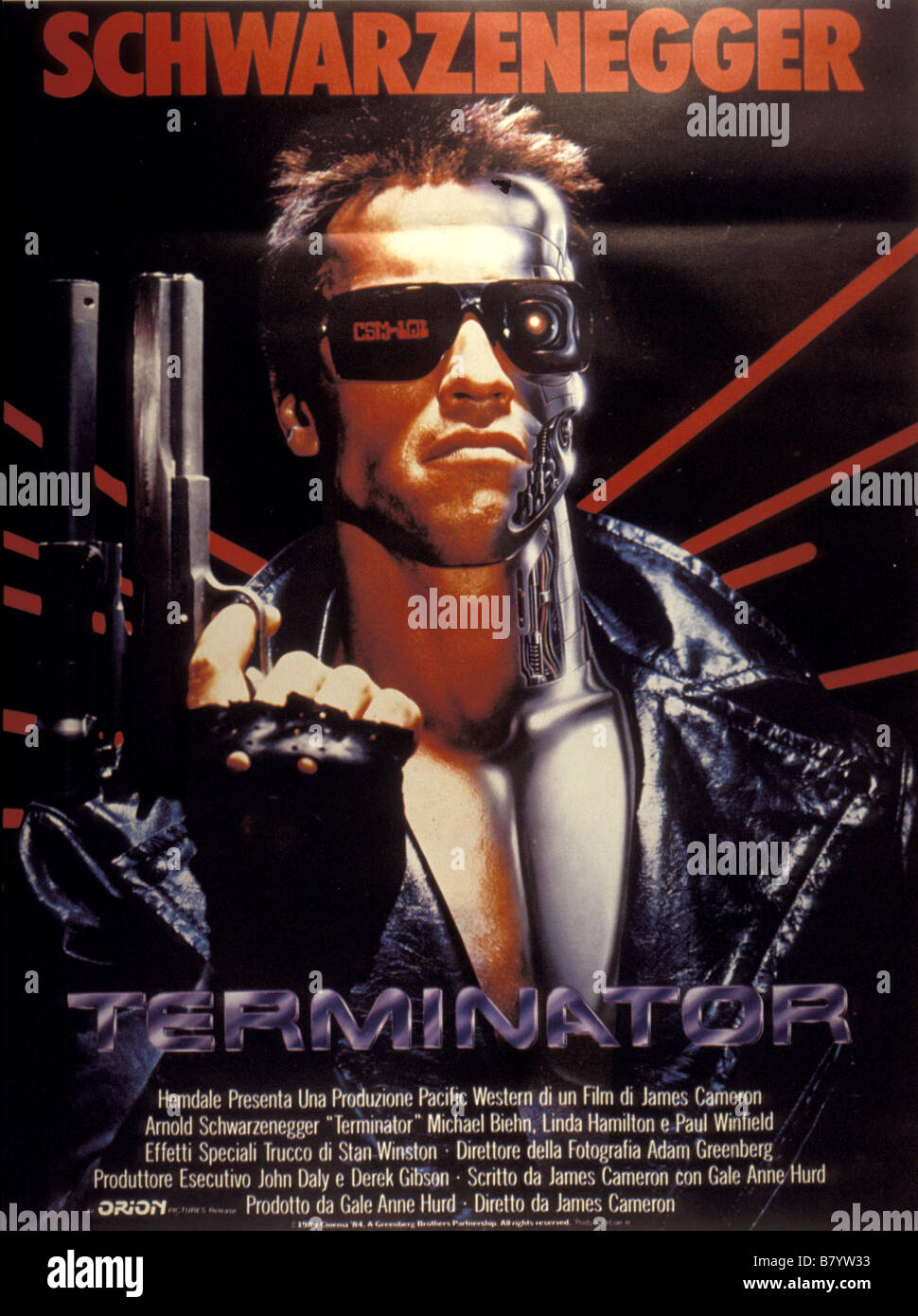 The Terminator Year: 1984 USA Arnold Schwarzenegger affiche, poster ...