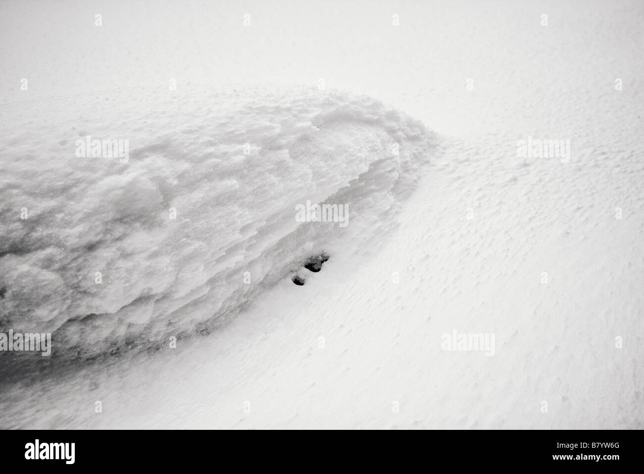 Anatomy of a Snowdrift Stock Photo - Alamy