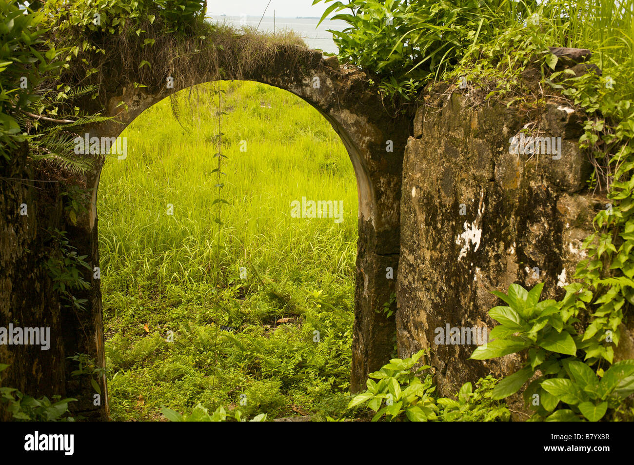 Old ruins on Penyengat island Stock Photo - Alamy