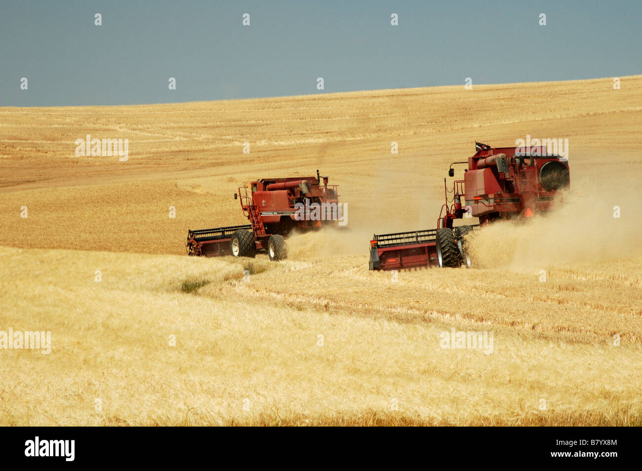 combines harvesting wheat crops in the rolling hills of the Palouse ...