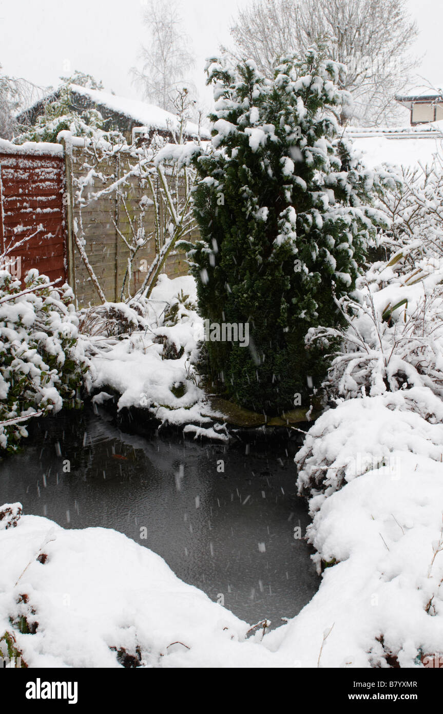 Winter garden scene with evergreen tree snow and partly frozen pond ...