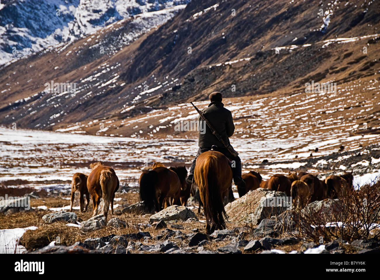 Mongolian man riding a horse Altai Tavan Bogd National Park Mongolia ...