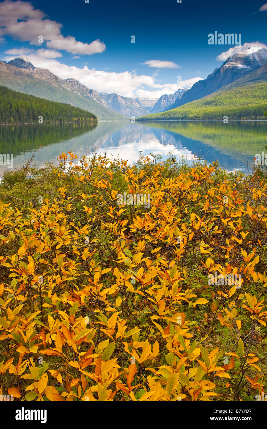 Mountain, flowers and lake Stock Photo - Alamy