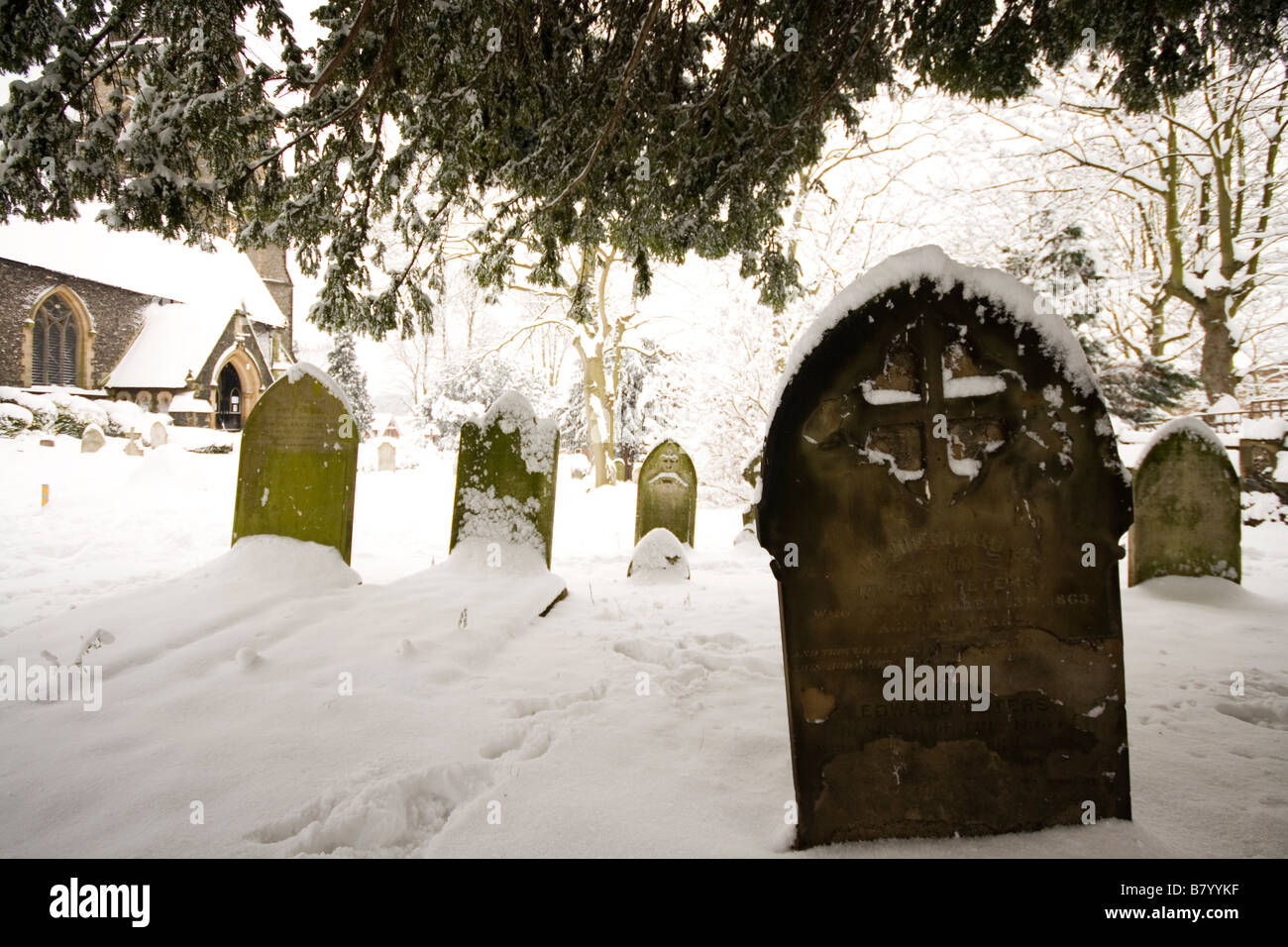 Croydon trees hi-res stock photography and images - Alamy