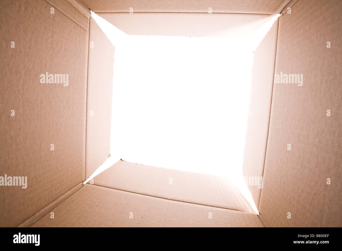 inside view of an empty cardboard box selective focus Stock Photo - Alamy