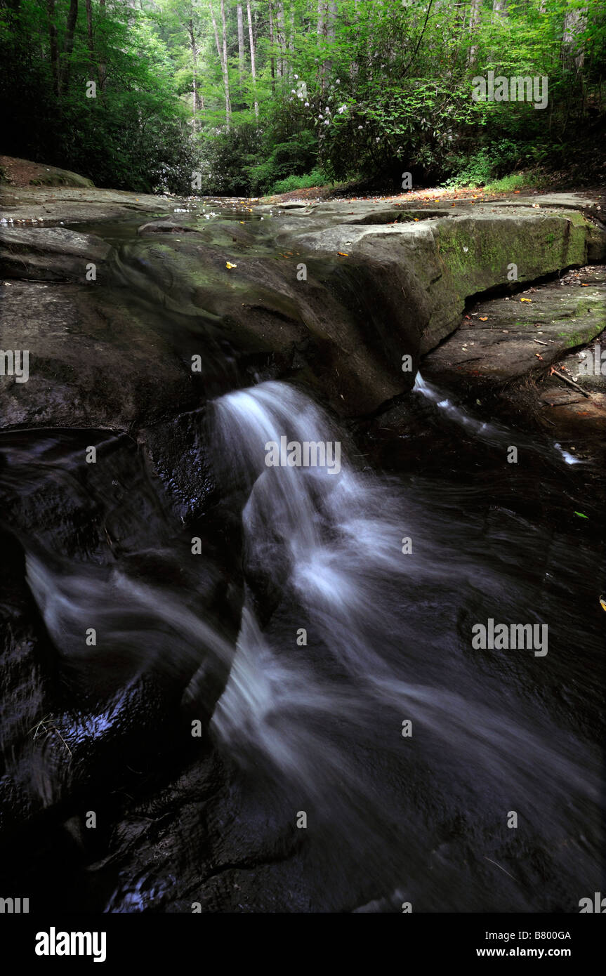 Creation Falls Waterfall Clifty Wilderness Area Red River Gorge ...