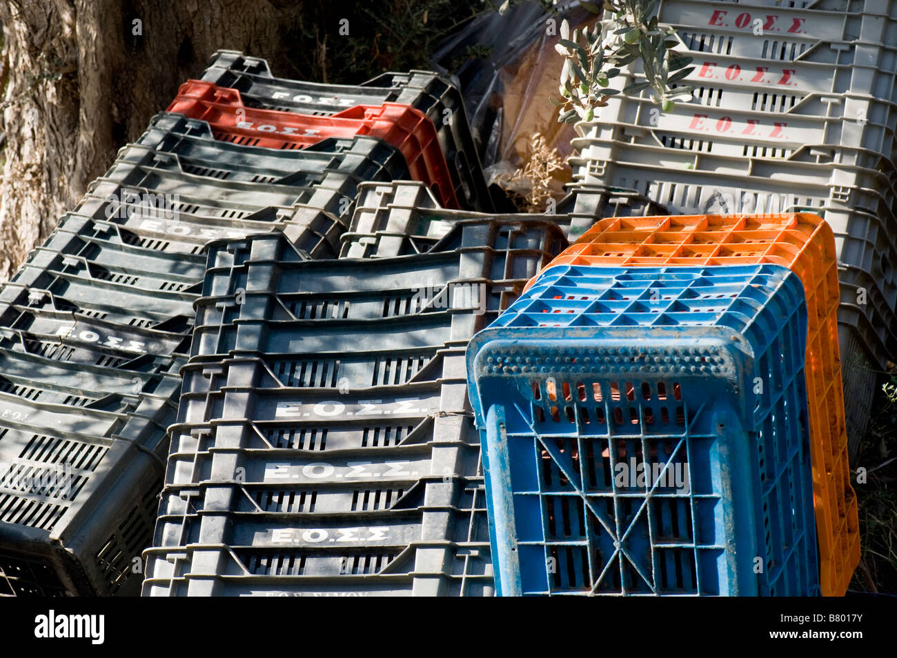 Plastic racks hi-res stock photography and images - Alamy