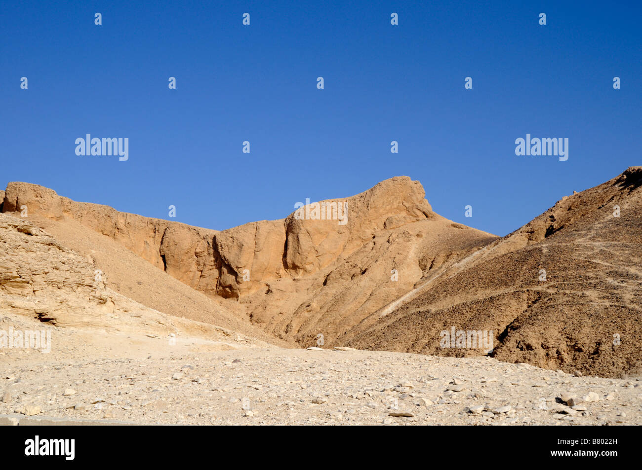 Valley of the mummies excavation hi-res stock photography and images ...