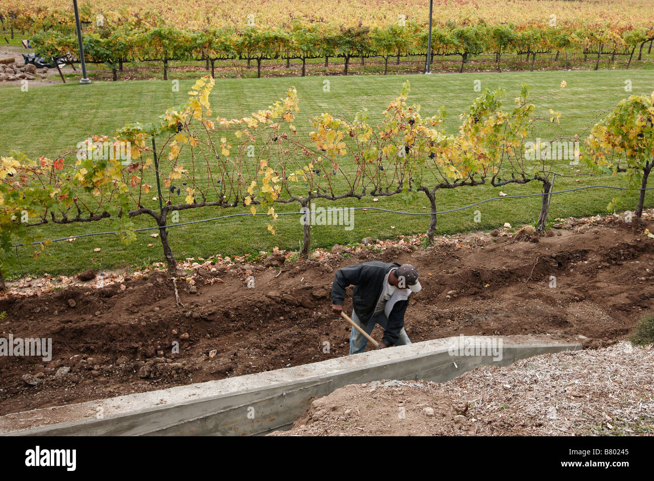 Mumm winery california hi-res stock photography and images - Alamy
