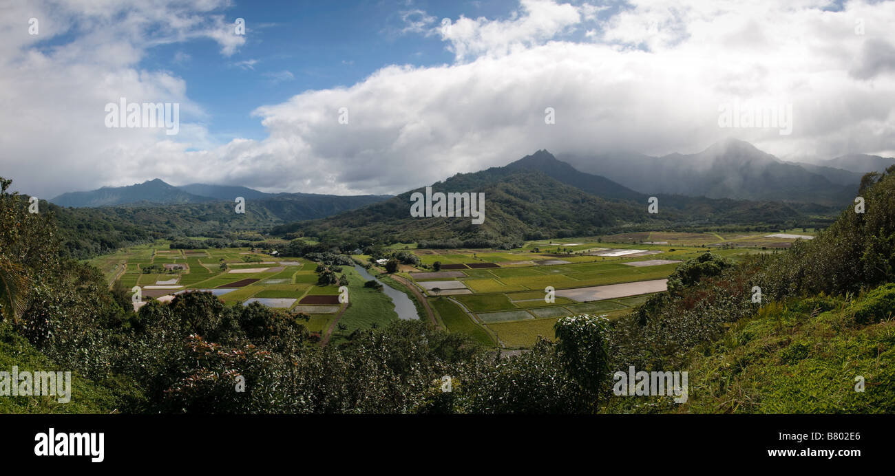 Landscape panorama of the Hanalei valley on Kauai Stock Photo - Alamy