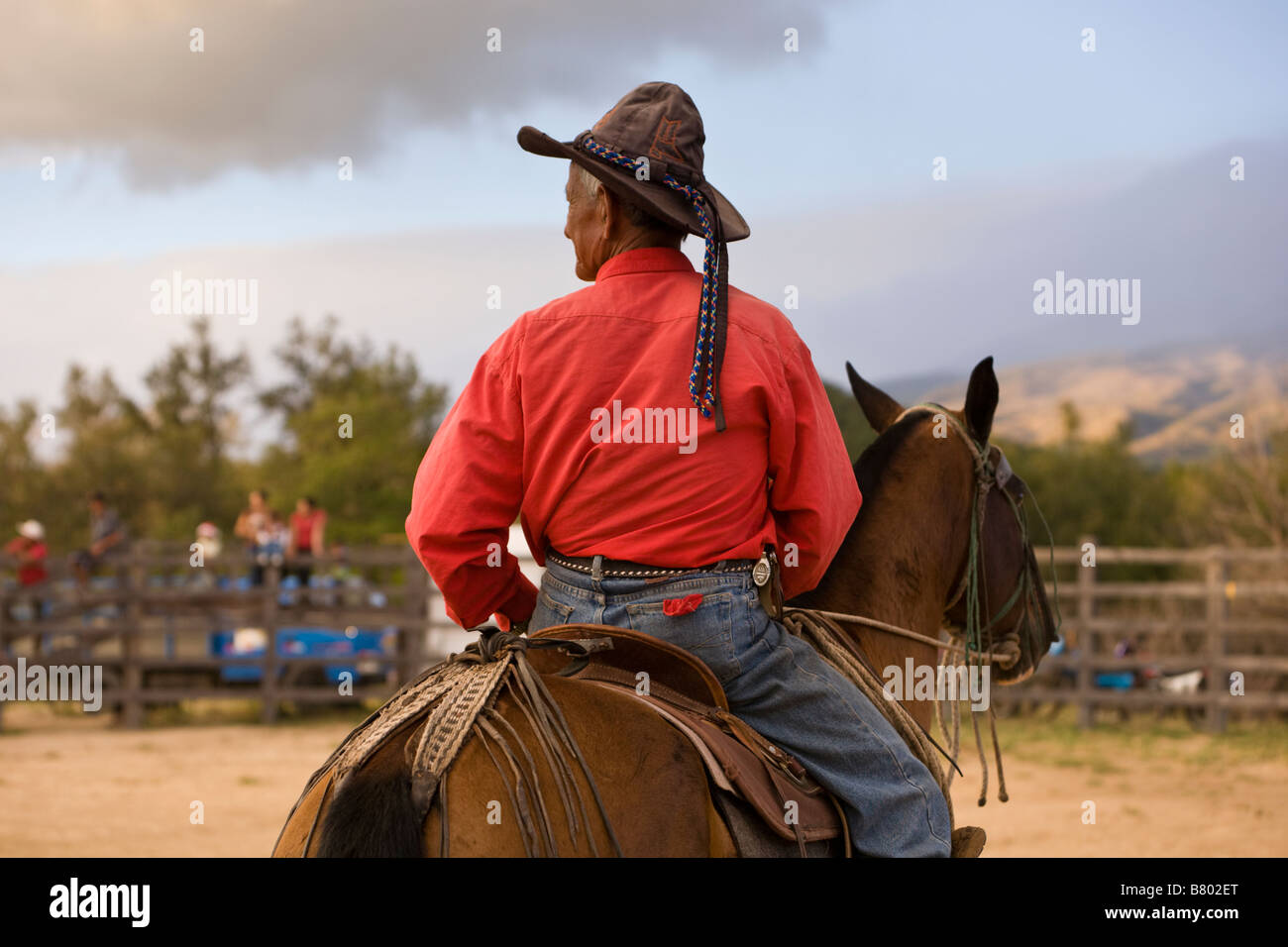 Cowboy sitting on horse in Guanacaste, Costa Rica Stock Photo - Alamy