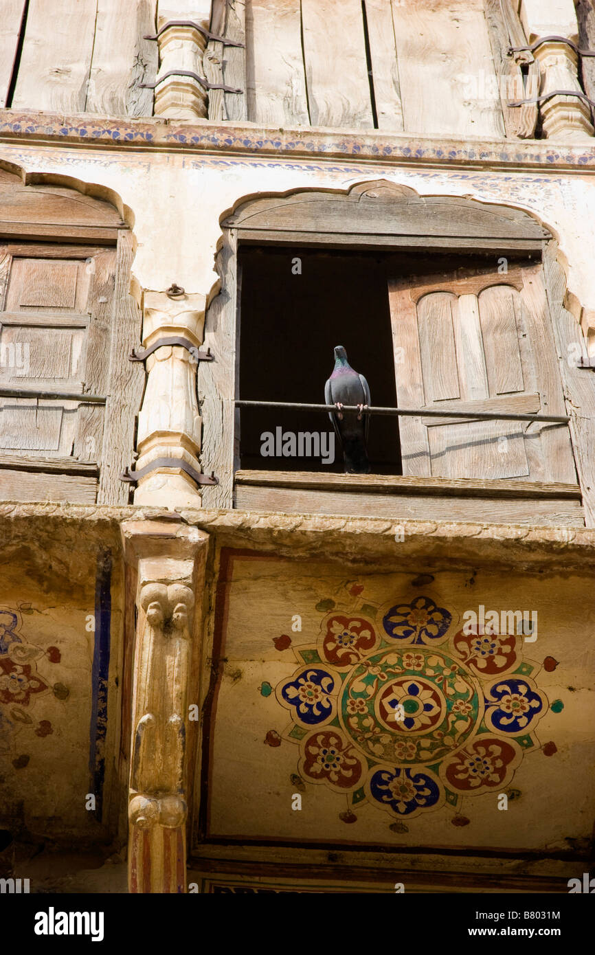 Pigeon sits on Haveli window sill Jhunjhunu Rajasthan India Stock Photo ...