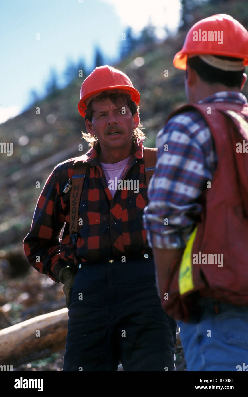 Logging loggers heavy machinery hi-res stock photography and images - Alamy