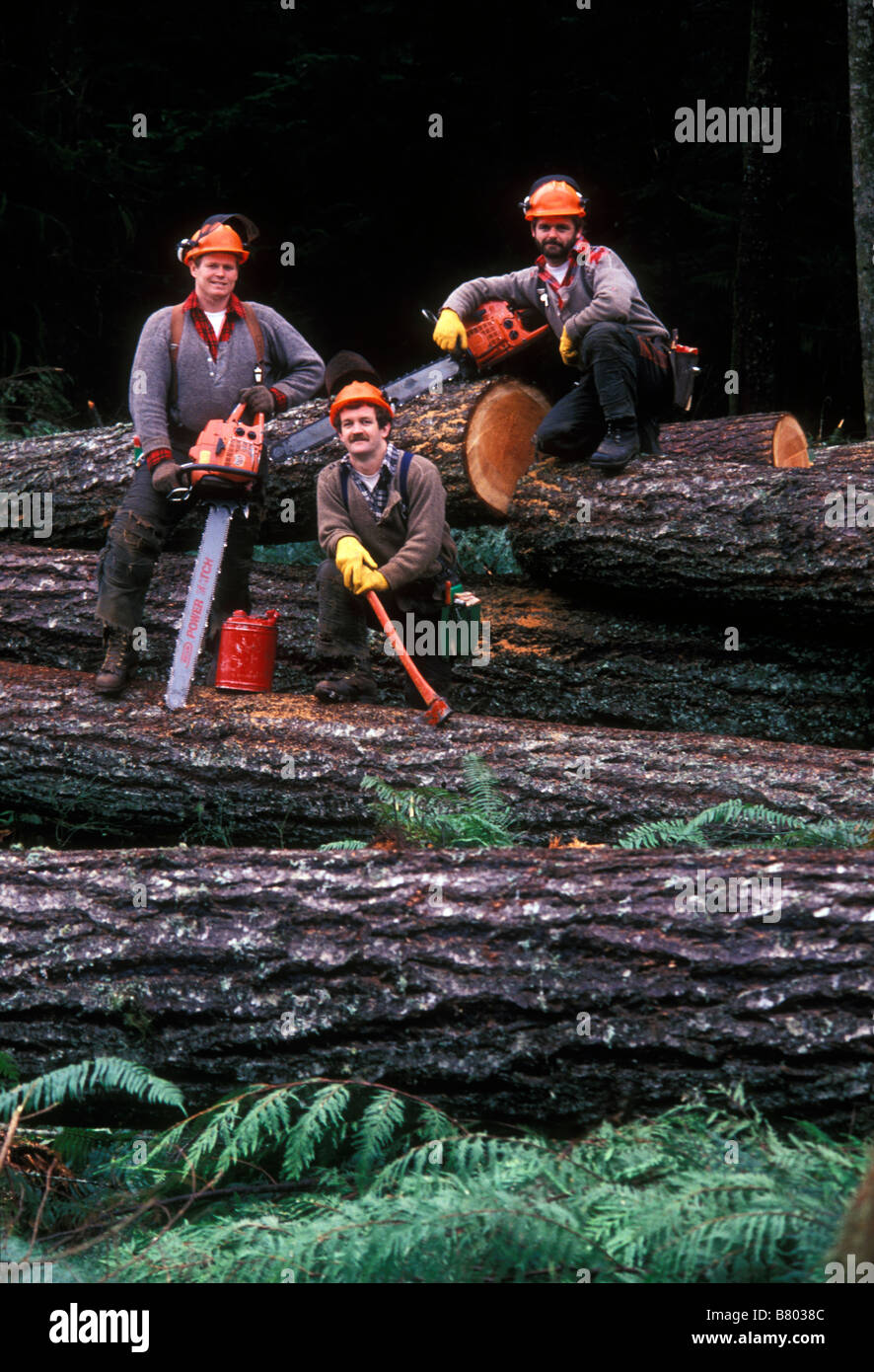 Logging loggers heavy machinery hi-res stock photography and images - Alamy