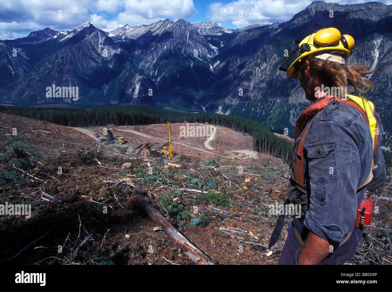 Timber operations hi-res stock photography and images - Alamy