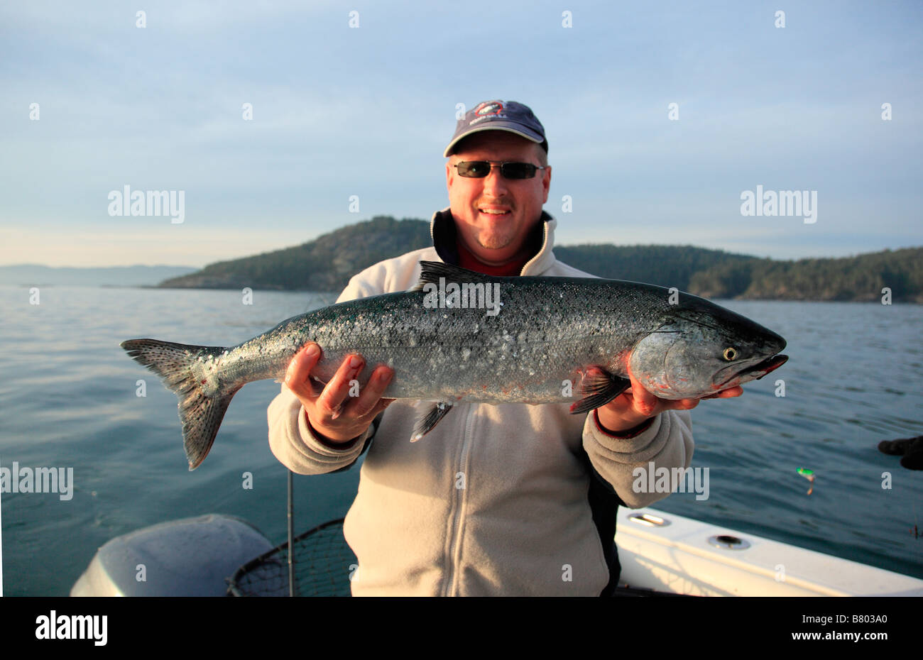 Spring salmon hi-res stock photography and images - Alamy