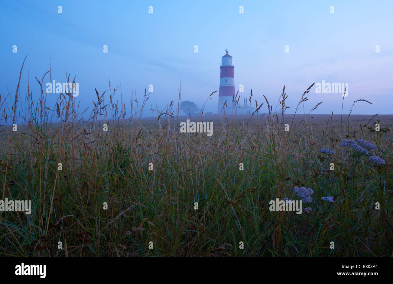 Lighthouse with erosion hi-res stock photography and images - Alamy