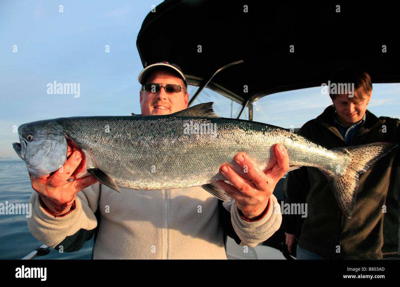 Spring salmon hi-res stock photography and images - Alamy