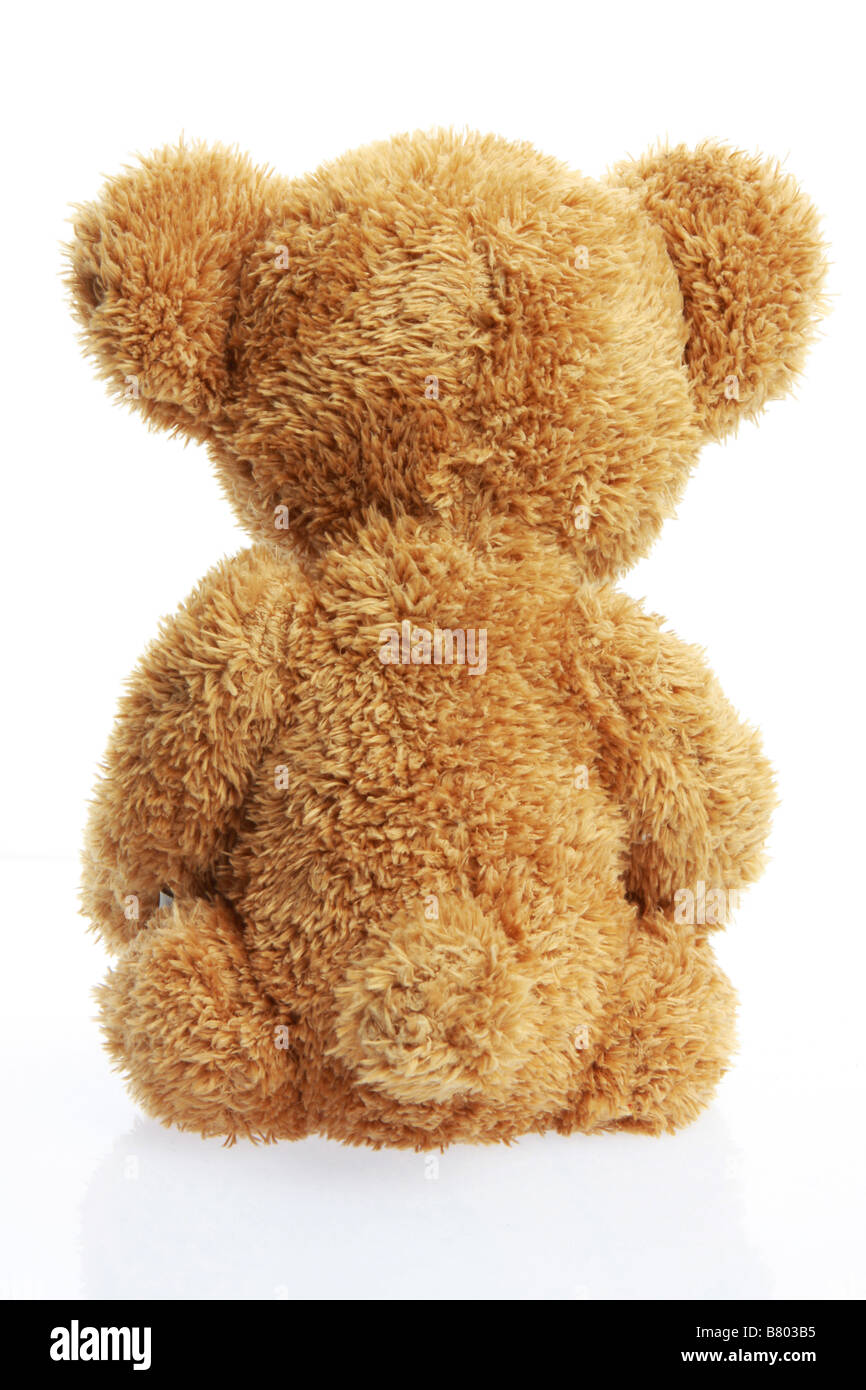 Back side of a stuffed teddy bear isolated on white shot in studio ...