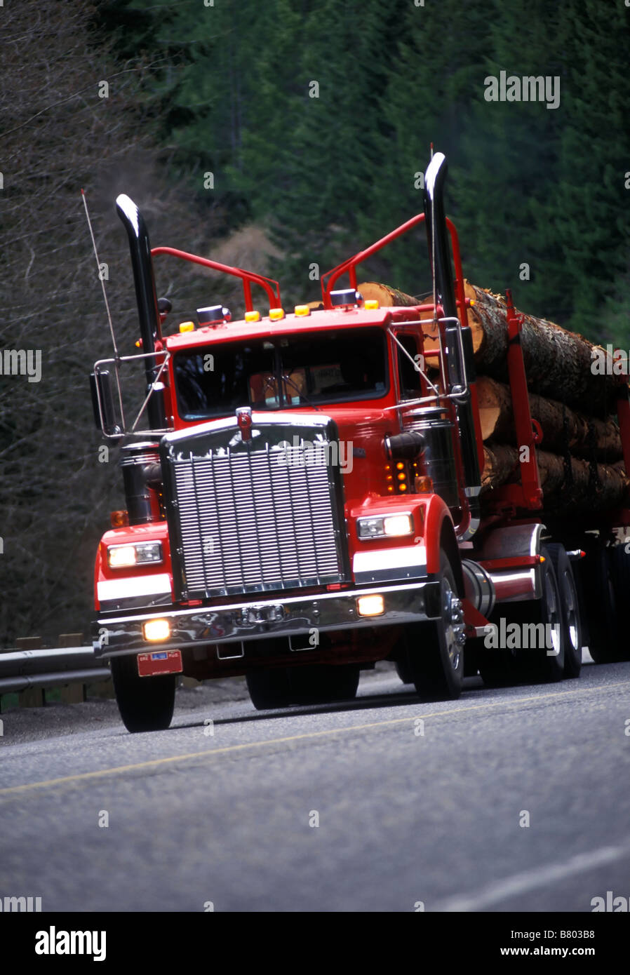 Log sort yard hi-res stock photography and images - Alamy
