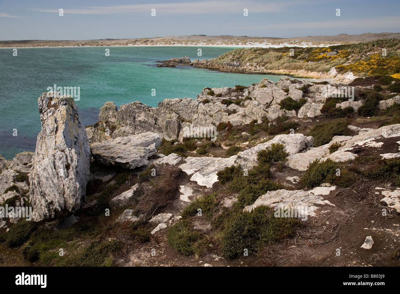 East island falkland islands hi-res stock photography and images - Alamy