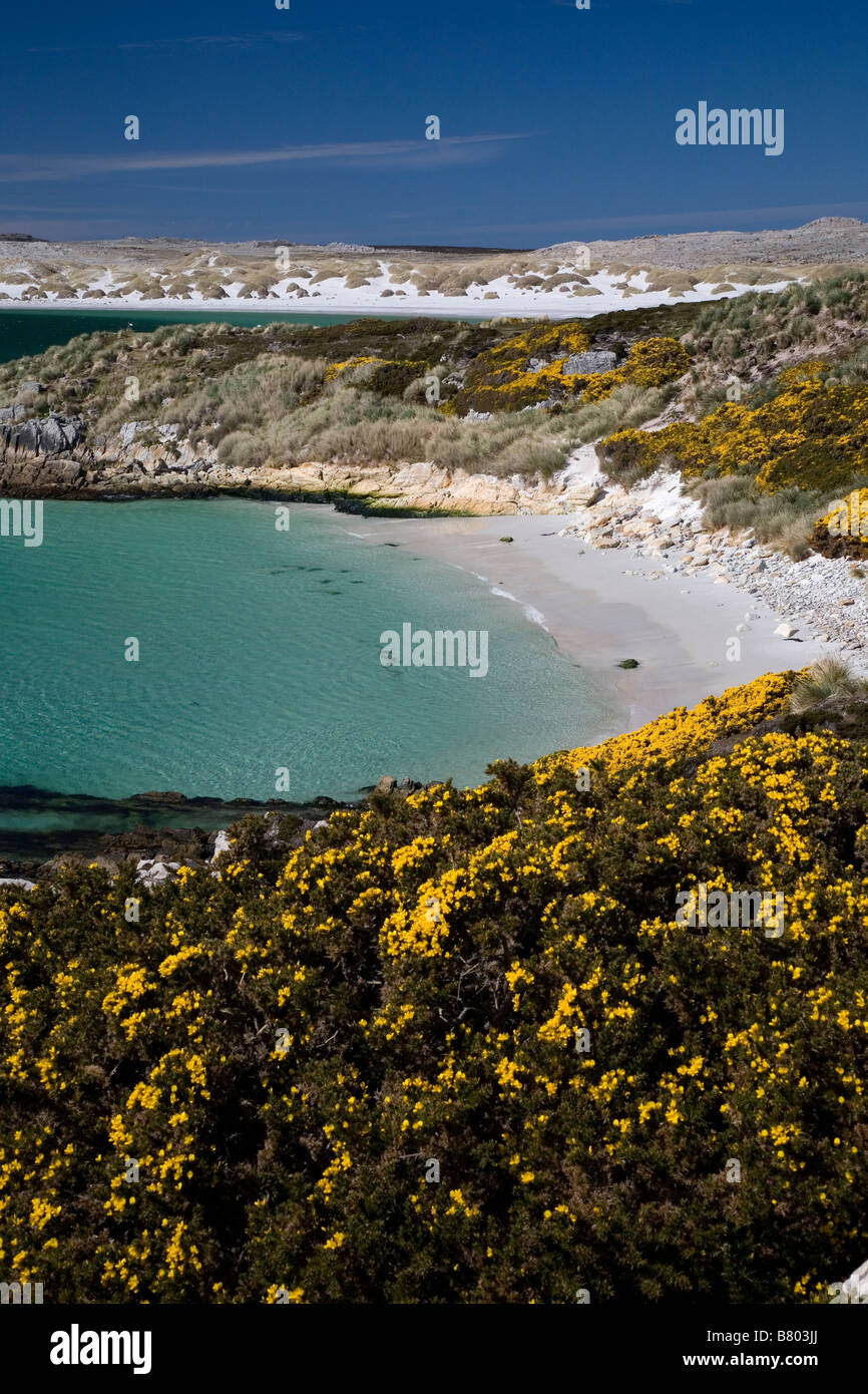 Stanley cove hi-res stock photography and images - Alamy