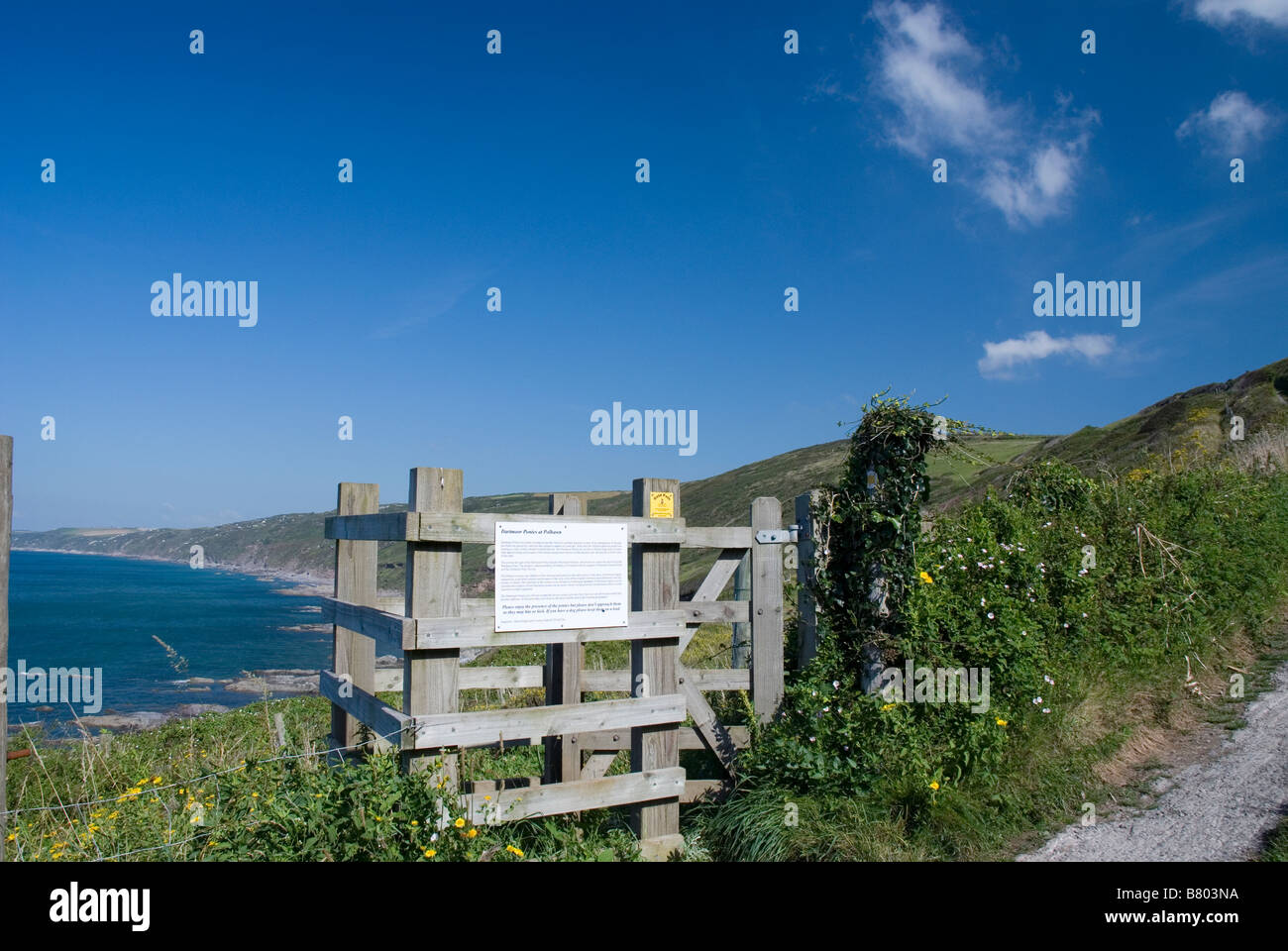Cornwall county council hi-res stock photography and images - Alamy