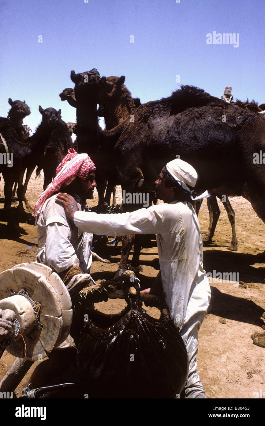 Saudi Arabia. Al Murrah Bedouin watering camels in the Empty Quarter ...