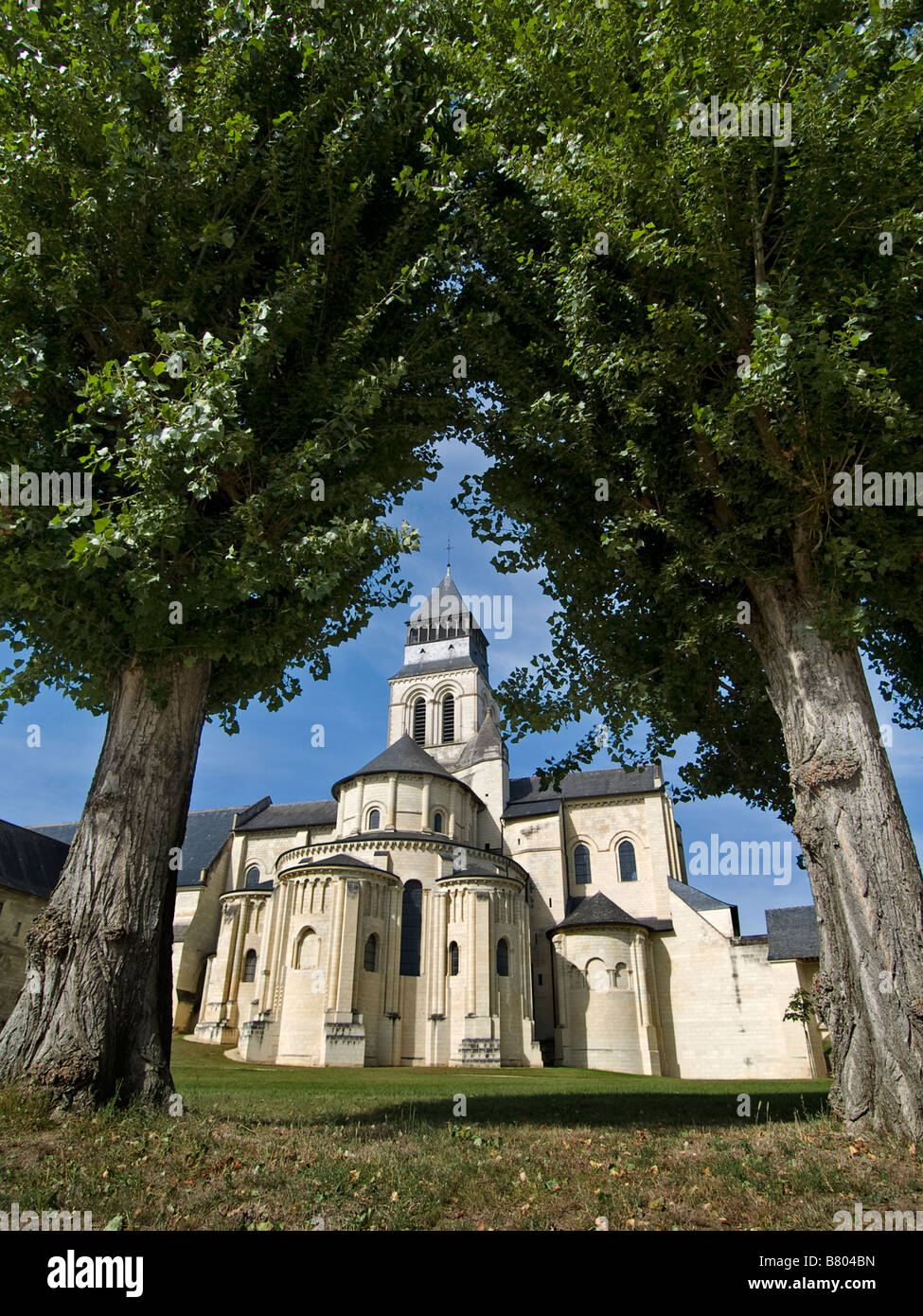 general view of the abbey from the east between trees Stock Photo - Alamy