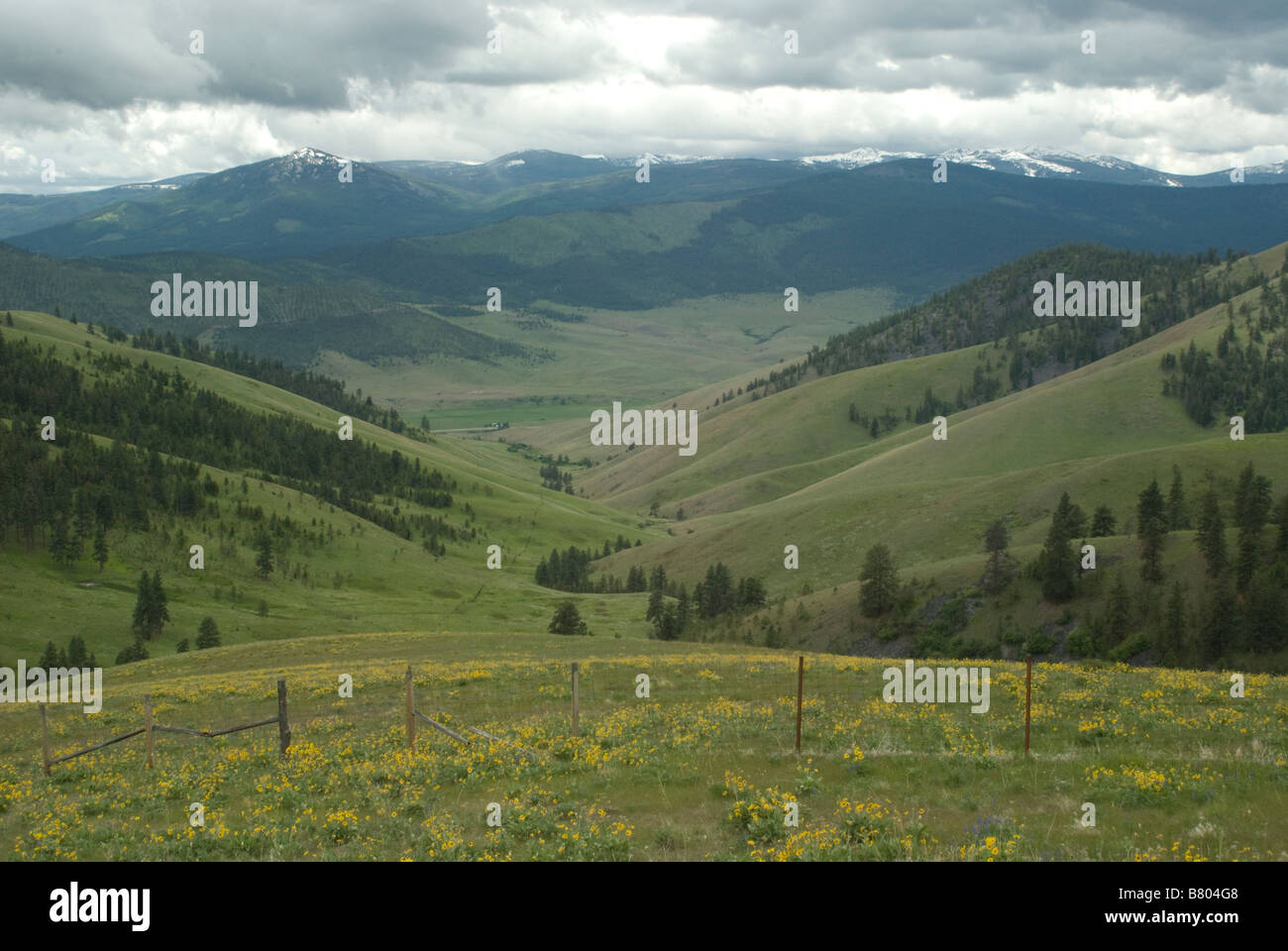 Beautiful view on the rolling hills in Bison Range, Montana (USA Stock ...