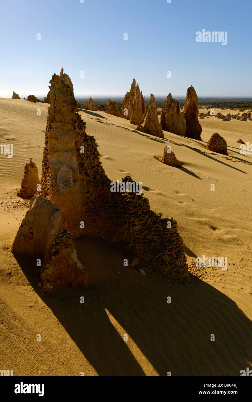 The Pinnacles Nambung National Park Western Australia limestone ...