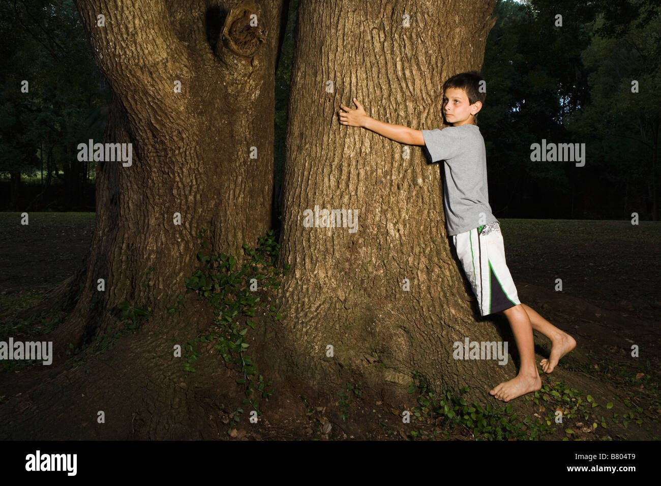 Boy hugging tree Stock Photo - Alamy