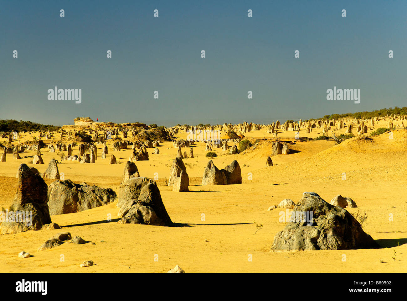 The Pinnacles Nambung National Park Western Australia limestone ...