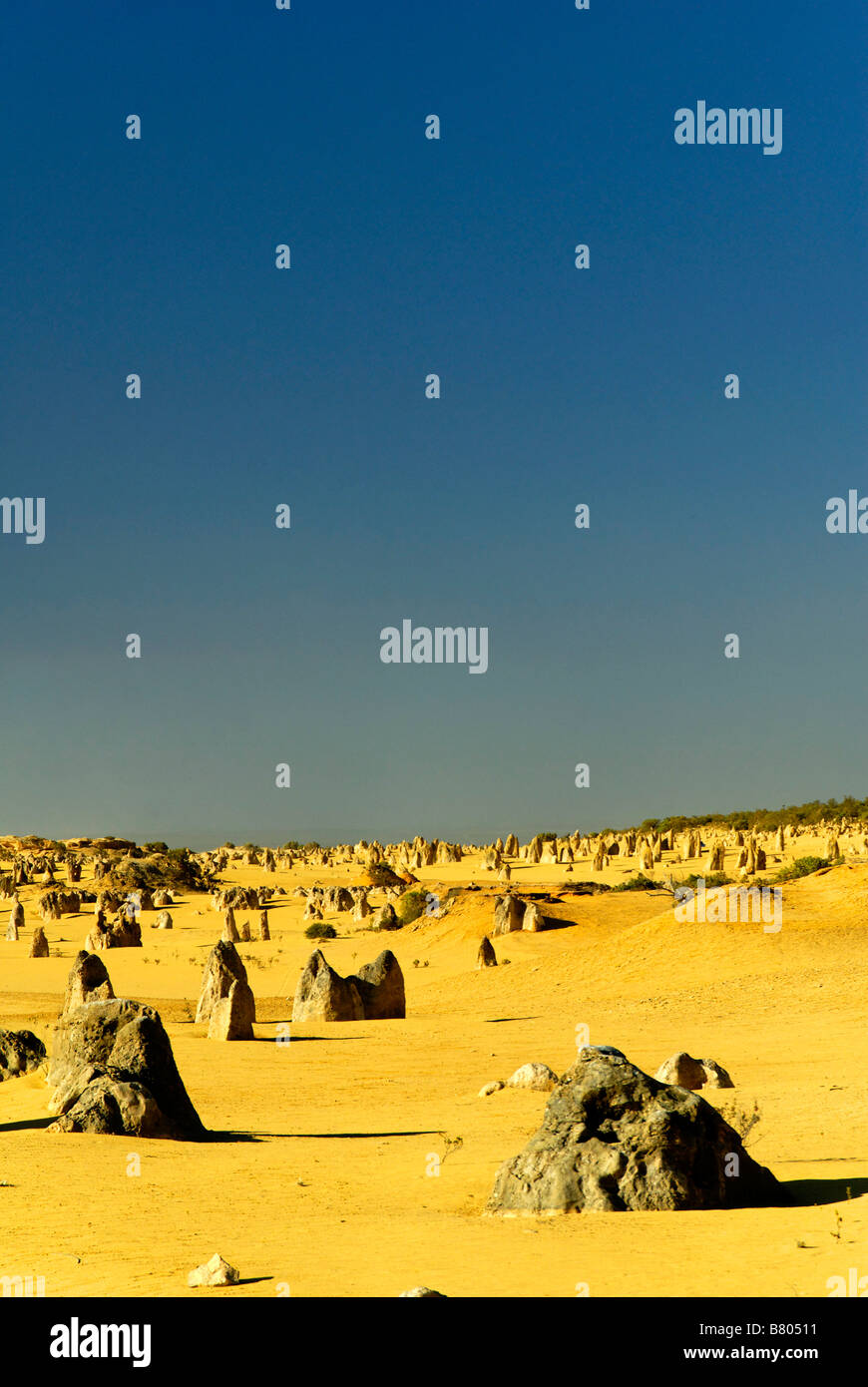 The Pinnacles Nambung National Park Western Australia limestone ...