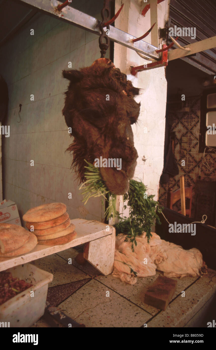 Butcher camel meat head camel hi-res stock photography and images - Alamy