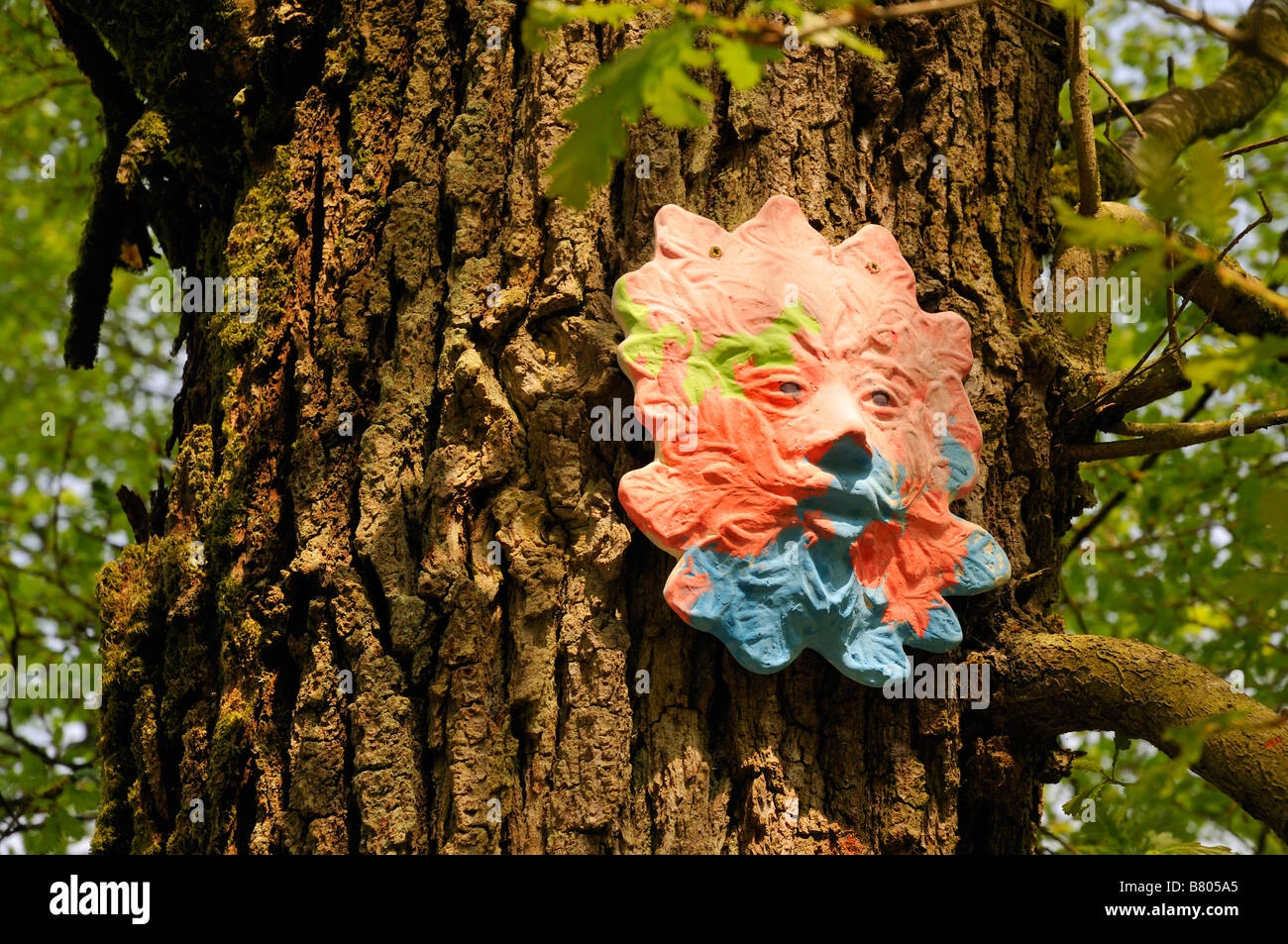 Mask on Tree in the beautiful valley of the River Wharfe at Bolton ...
