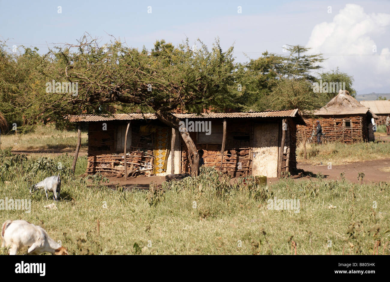 Traditional african rural home tanzania hi-res stock photography and ...