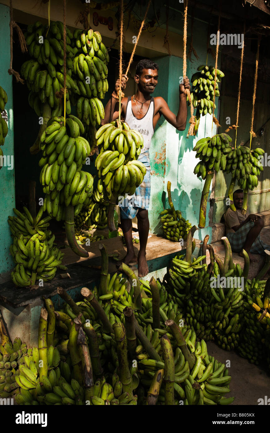 Bananamarket hi-res stock photography and images - Alamy